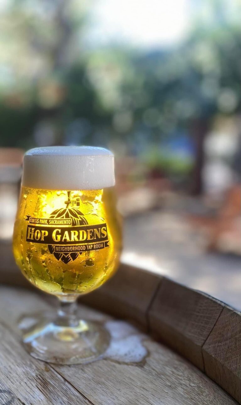 Our Gallery | Craft Beer by thehopgardens.com