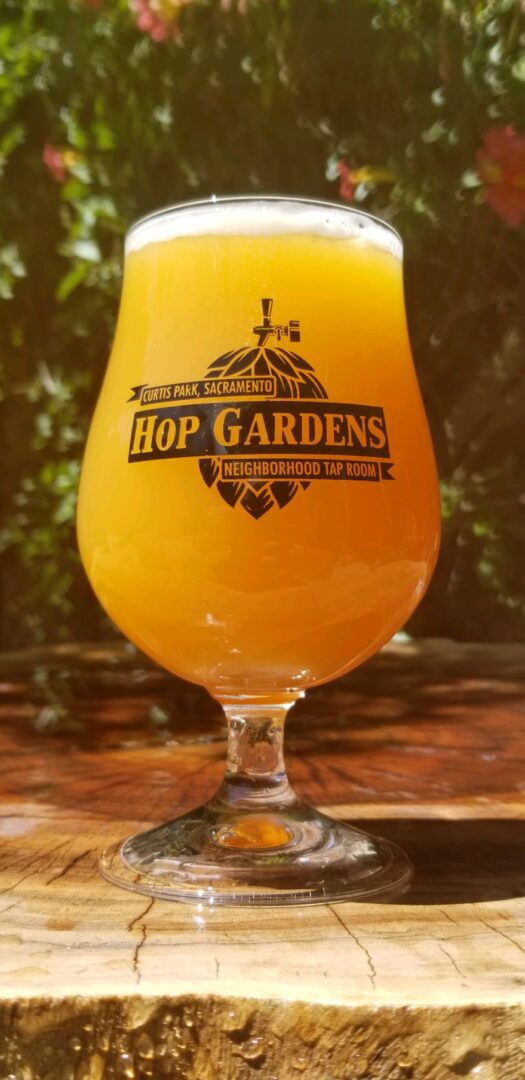 Our Gallery | Craft Beer by thehopgardens.com