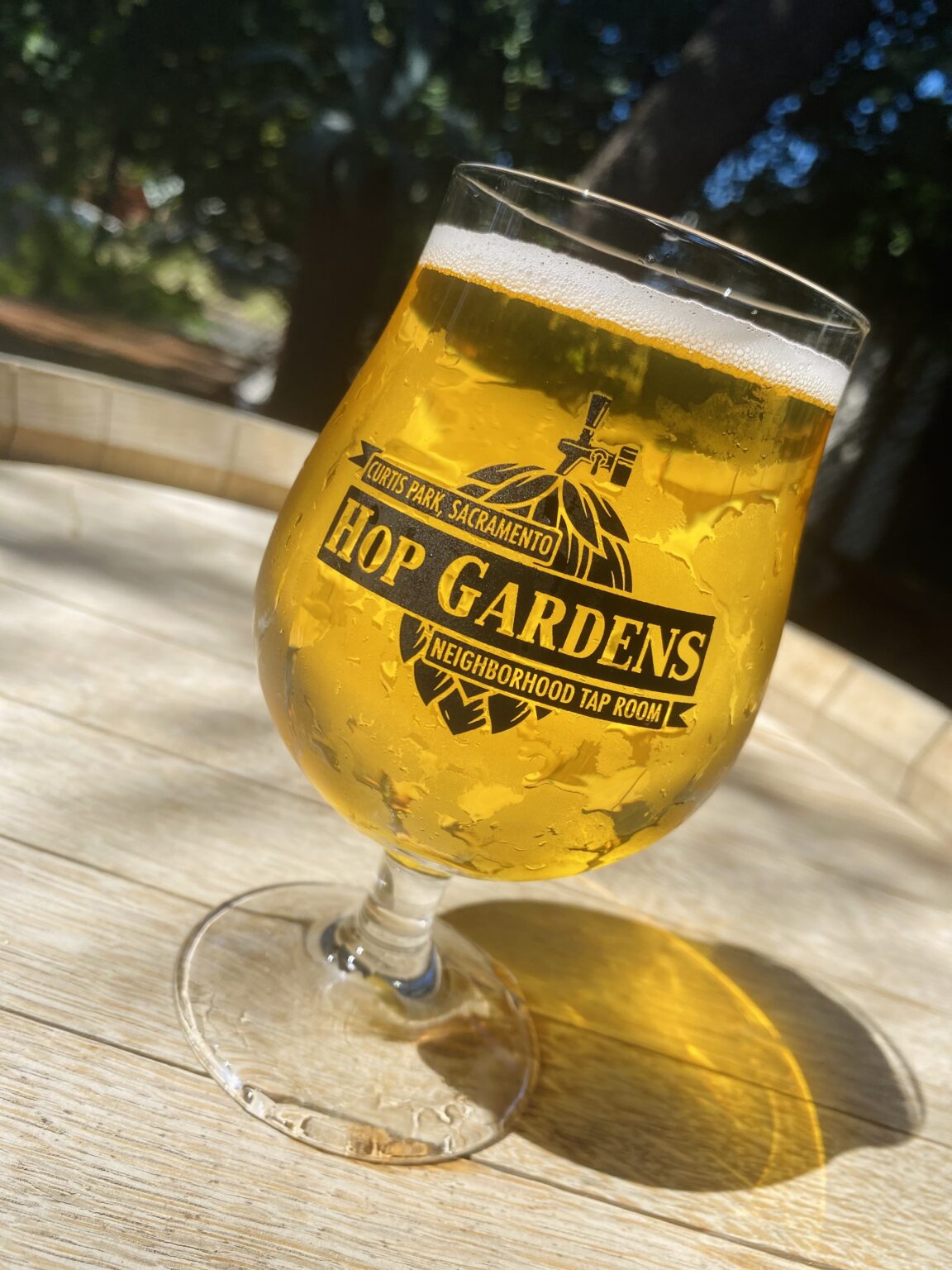 Our Gallery | Craft Beer by thehopgardens.com