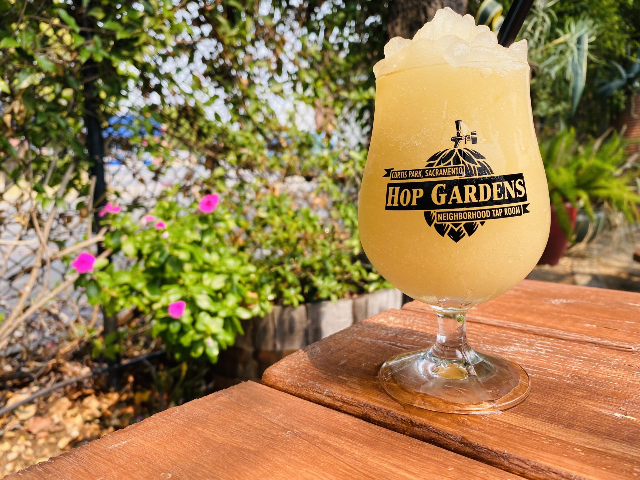 Our Gallery | Craft Beer by thehopgardens.com