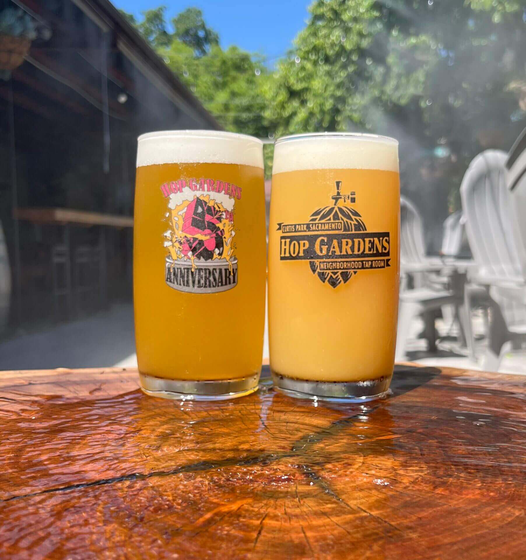 Our Gallery | Craft Beer by thehopgardens.com